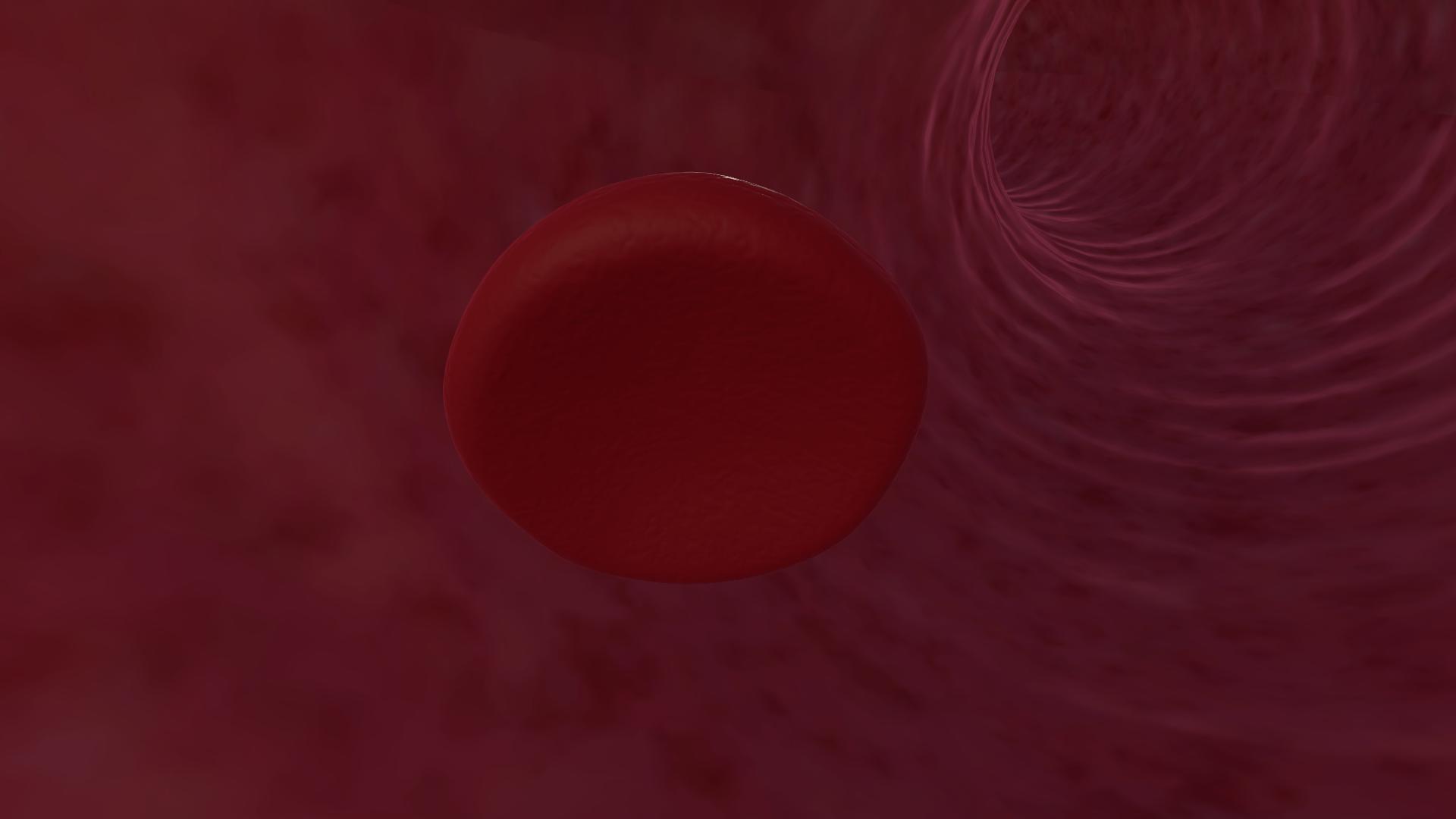 Human Anatomy - Blood Vessel - Acadicus Wiki